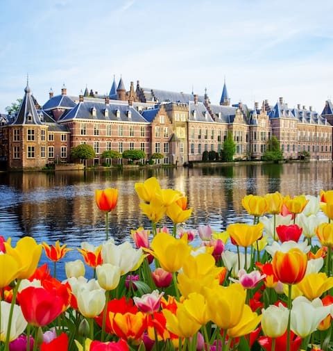 Stadtführung Den Haag (auf deutsch) für Paare, Familien & kleine Gruppen